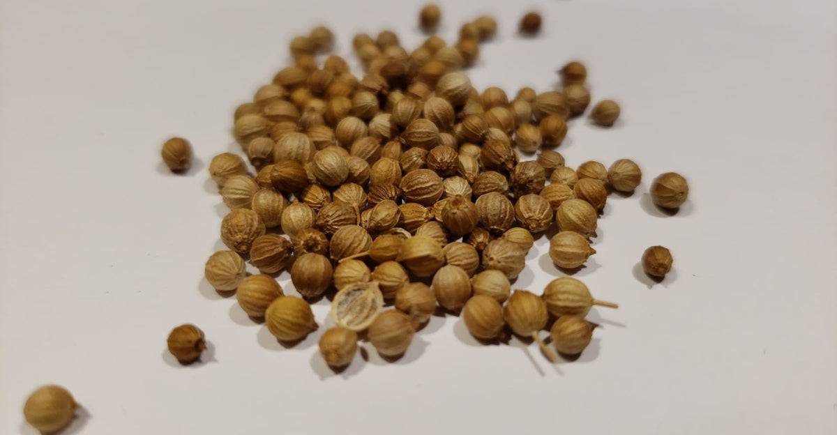 coriander – vegetomix