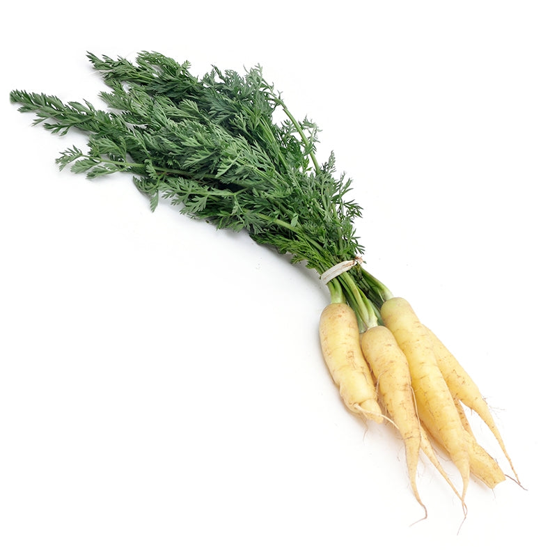 Carotte Blanche-Neige – vegetomix